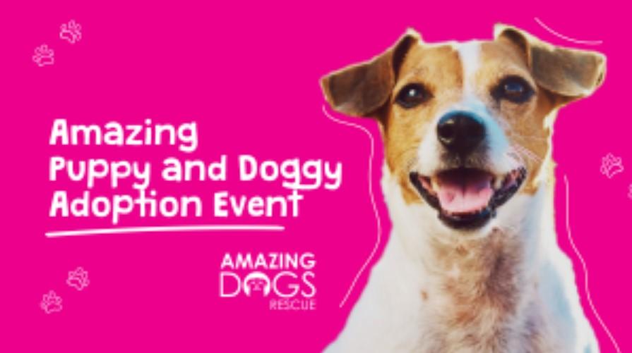 Amazing Dogs Rescue Doggy Adoption Event