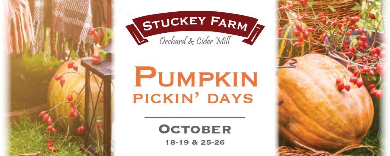 Pumpkin Picking Days at Stuckey Farm