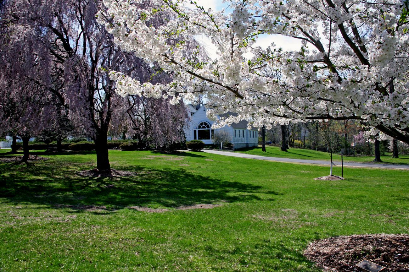 Things To Do in Whippany NJ - Events Calendar