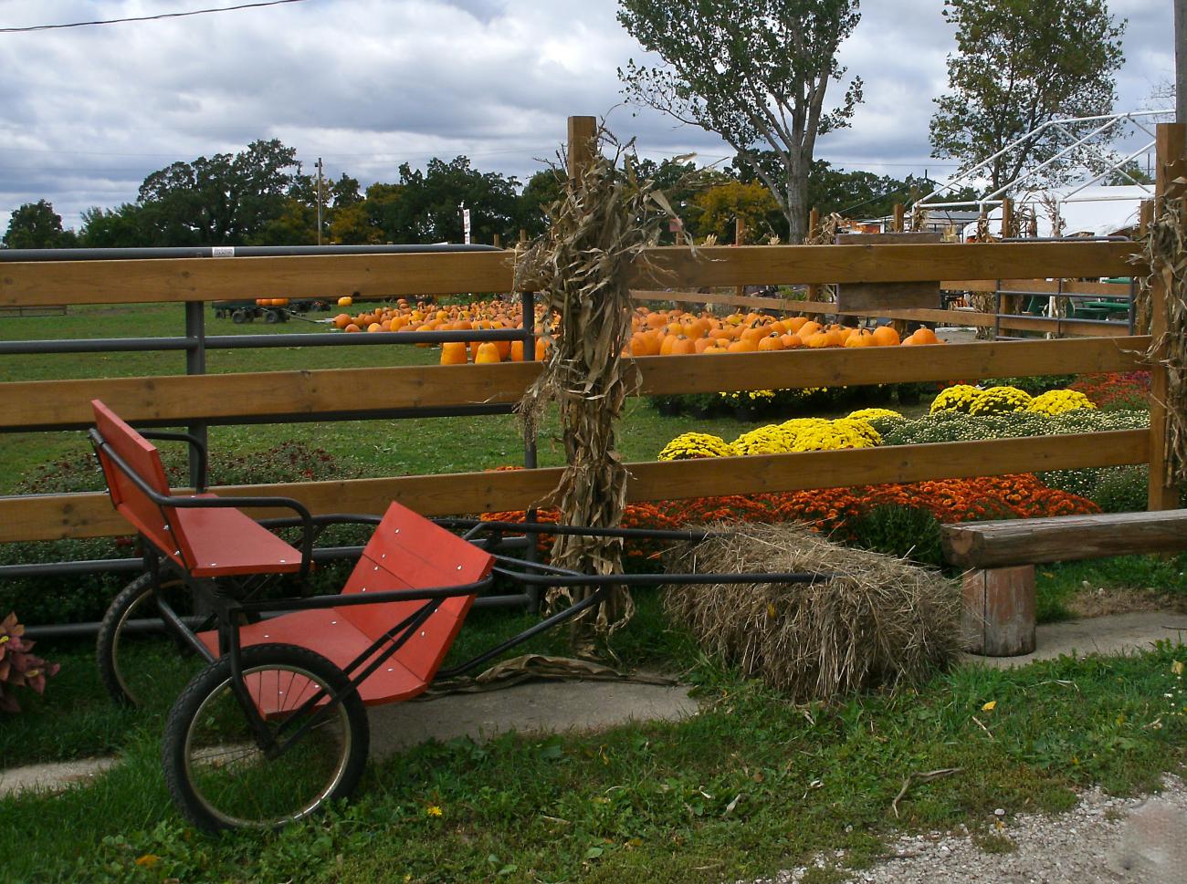 Things To Do in McHenry IL - Events Calendar