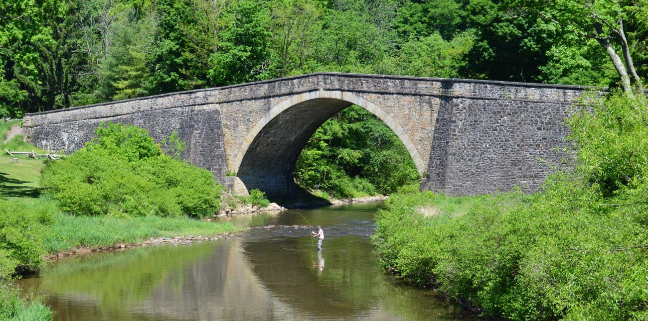 Things To Do in Grantsville MD - Events Calendar