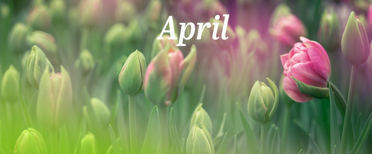 Things To Do in Maple Grove MN - Events Calendar